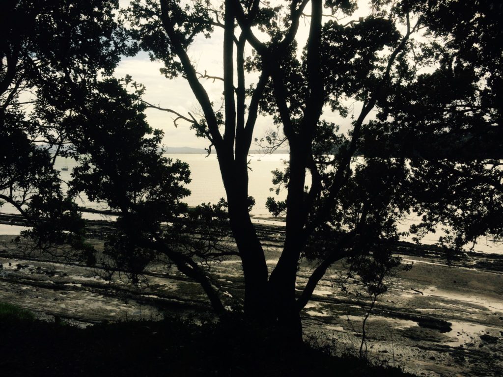 Help for those who are grieving - Val Leveson